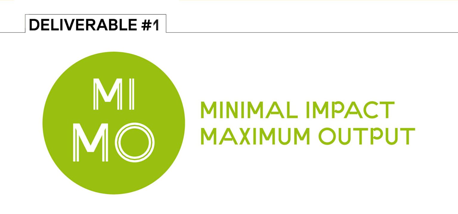 Deliverable #1 successfully delivered - MIMO - SDE21